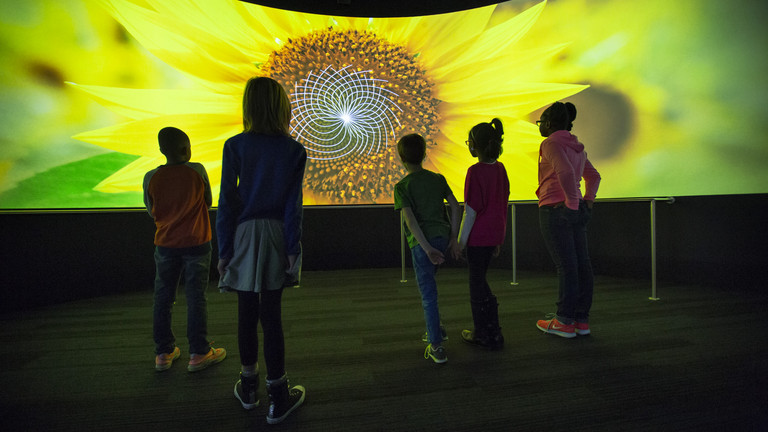 Numbers in Nature - Griffin Museum of Science and Industry